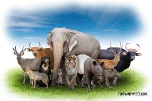 Animal Questions and Answers Trivia - Fun Family Vibes