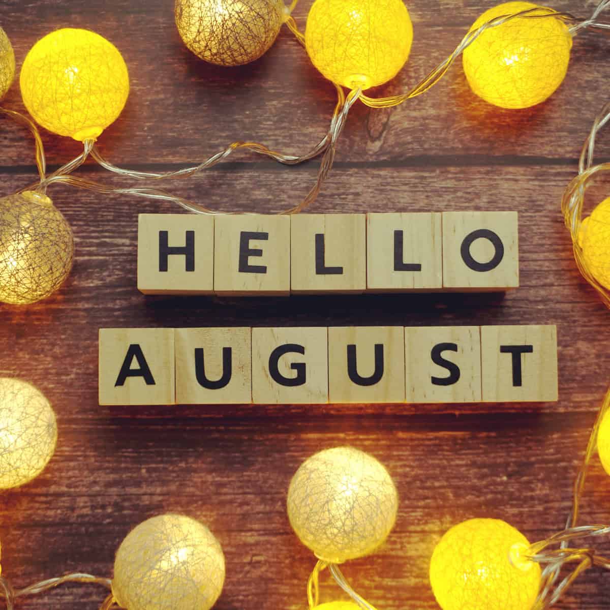 Bottle Flip Party Games - Fun Family Vibes